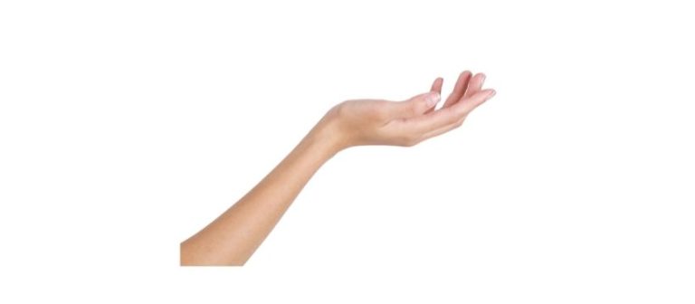 11 Common Items That Are 6 Inches Long (with Pictures)